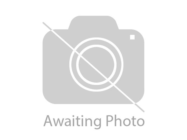 Lovely 5 Year Old Lemon And White Cocker Spaniel in Towan on Freeads ...